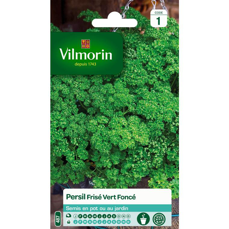Graines de persil frisé vert foncé Vilmorin en sachet - graines à semer ...