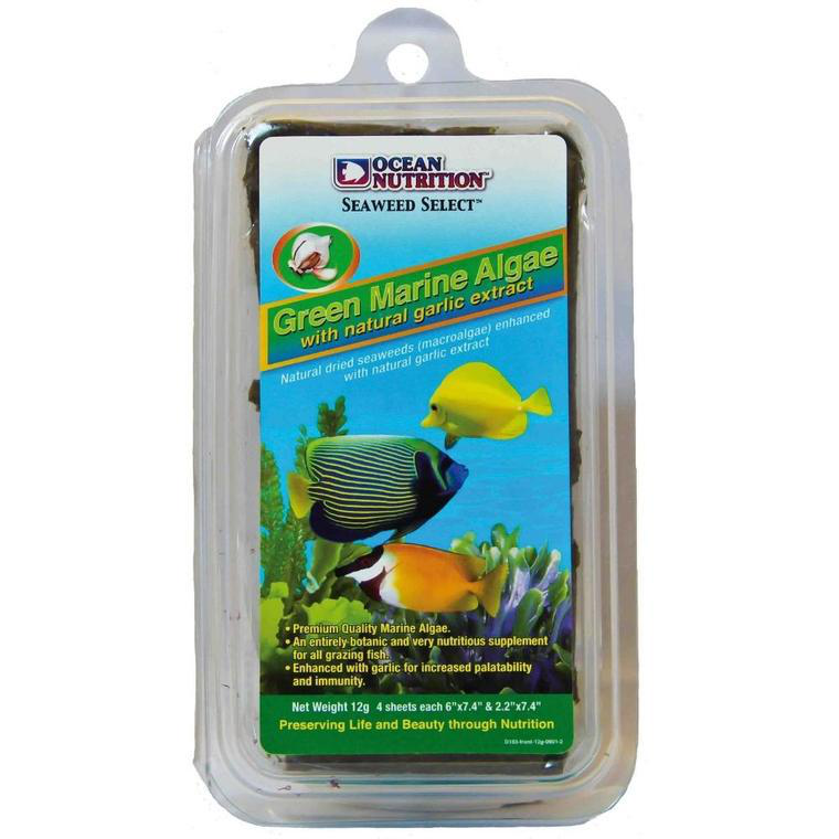 Algues marines vertes. La boite de 12 g