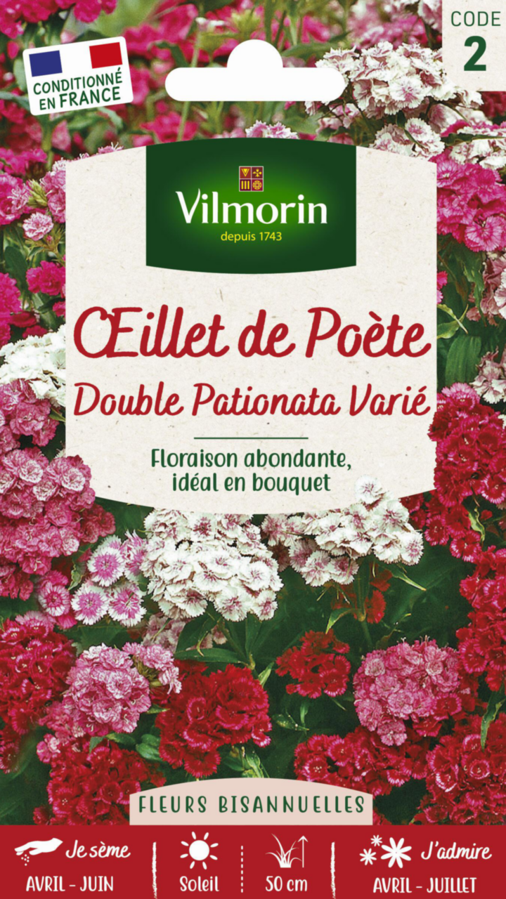 Œillet de Poète Double Pationata Varié Vilmorin - graines à semer ...