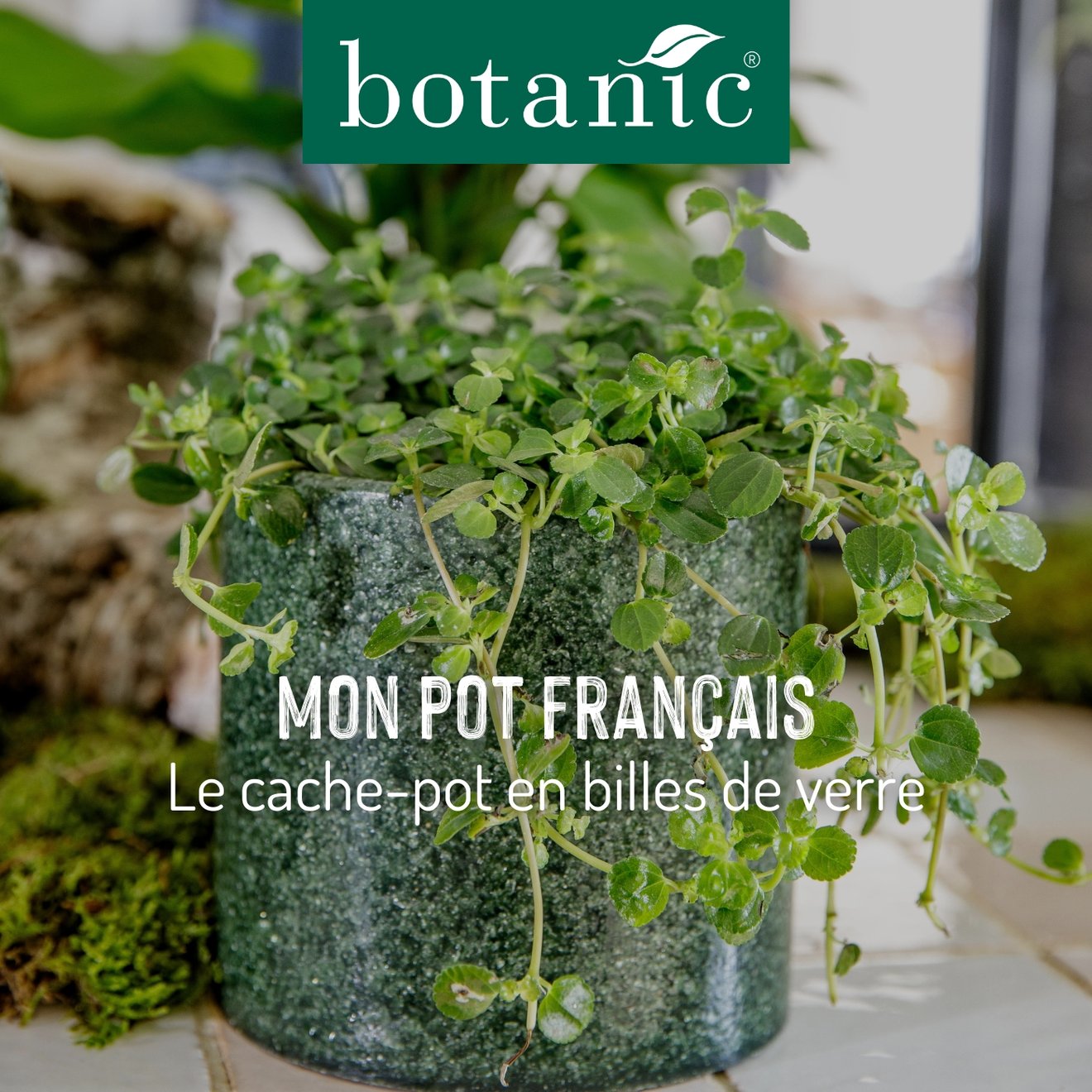 Cache-pot recyclé en billes de verre Mon pot français coloris blanc - Ø ...