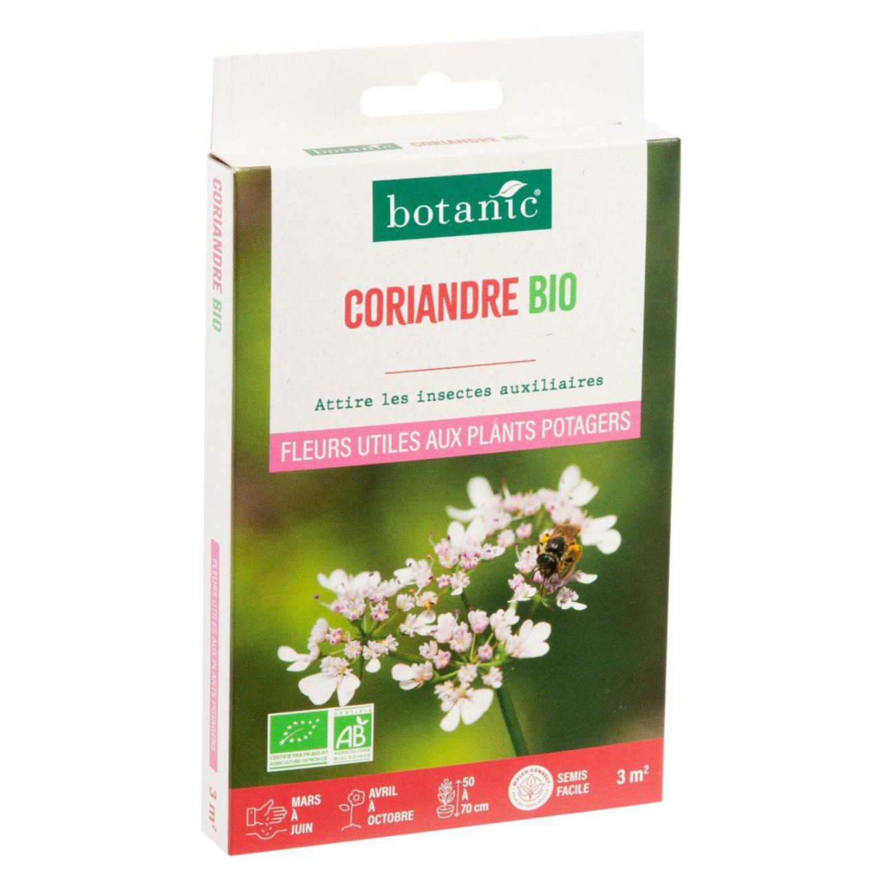 Coriandre bio botanic® - graines à semer (3 m²) | botanic®