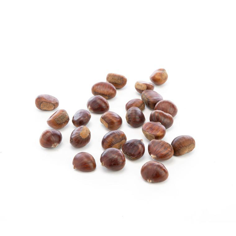 Châtaigne bio de France - Prix au kg | botanic®