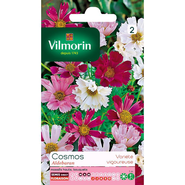 Graines de Cosmos Aldebaran varié Vilmorin - graines à semer | botanic®