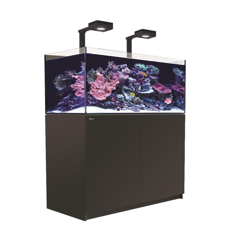 Aquarium eau de mer avec un meuble coloris noir certifié FSC® Reefer ...