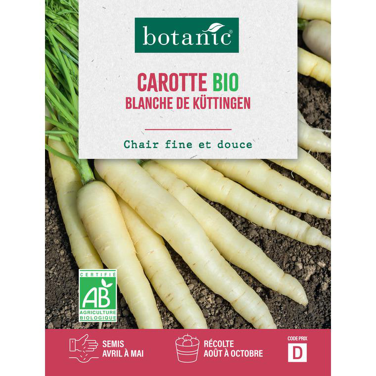 Graines de carotte blanche de Kuttingen bio botanic® - graines à semer