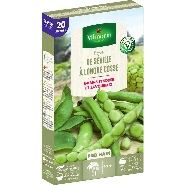 Graines de fève de Séville Vilmorin - graines à semer