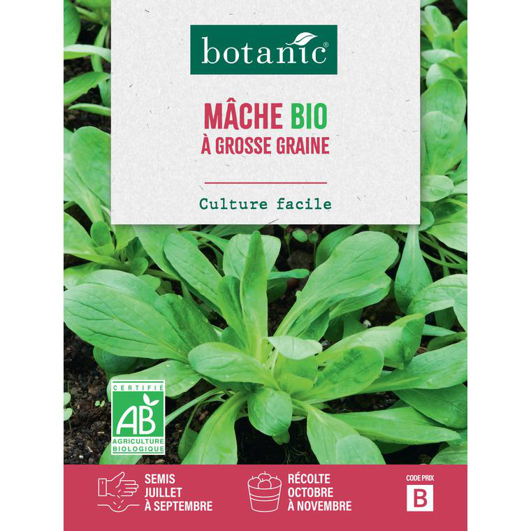 Graines de mâche à grosse graine bio botanic® - graines à semer | botanic®