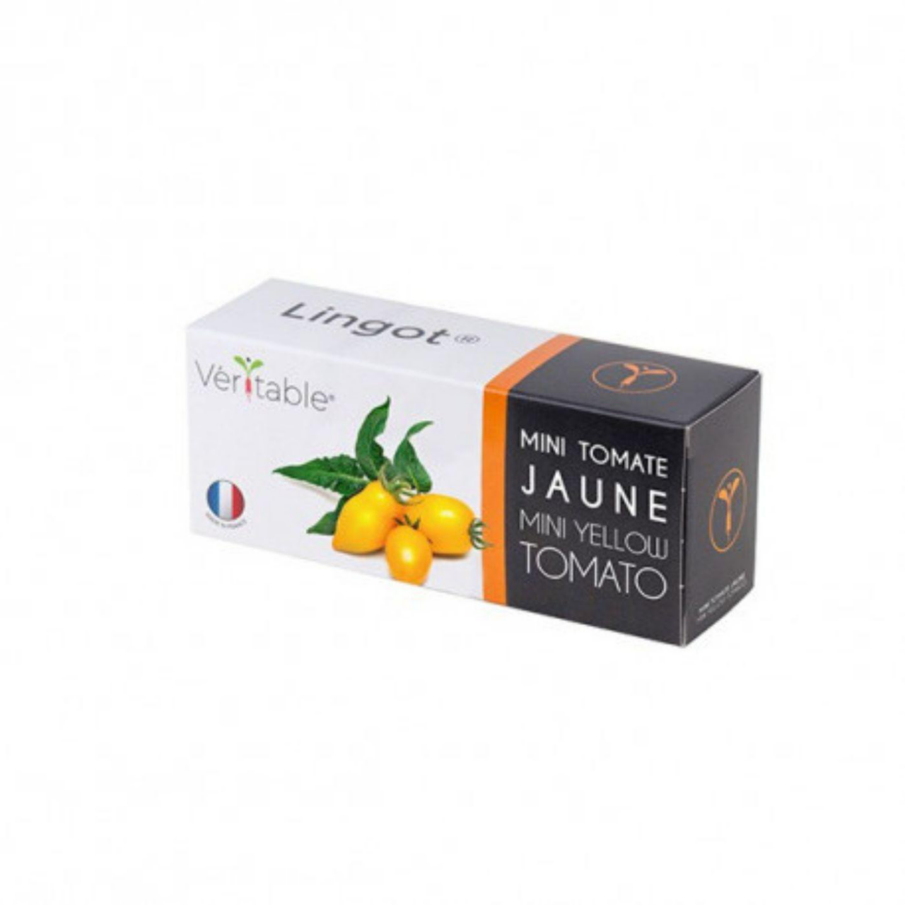 Lingot® Mini tomate jaune pour potager Véritable | botanic®