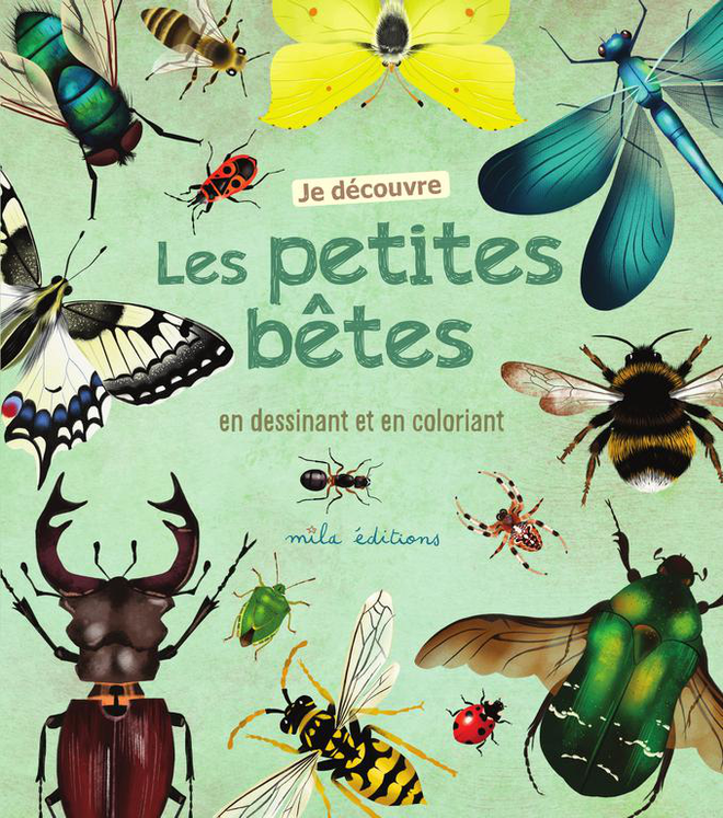Livre Je découvre les petites bêtes en dessinant et en coloriant - 24 ...