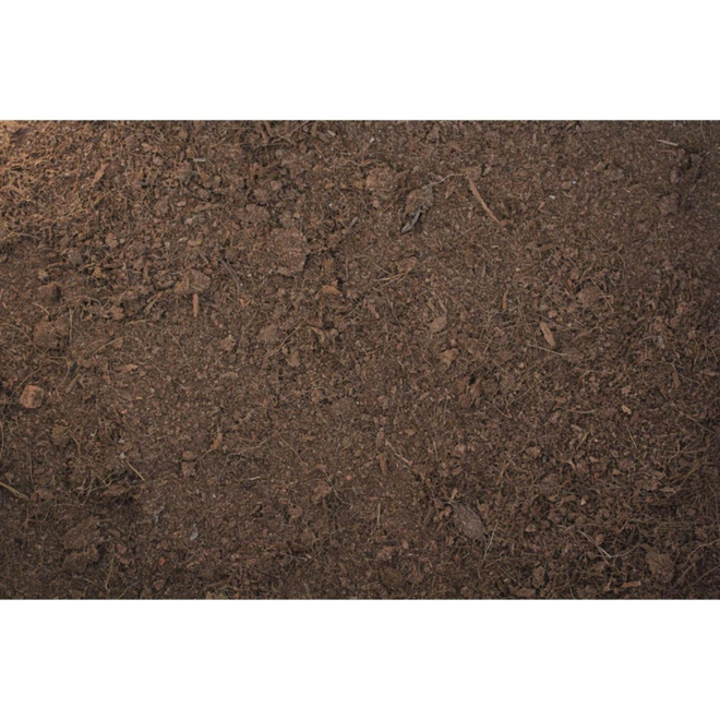 Humus de coco compressé pour terrarium coloris marron Reptile Planet ...