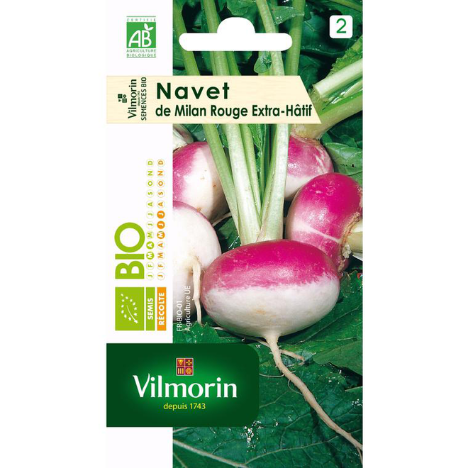 Navet de Milan Extra-Hâtif Vilmorin - graines à semer | botanic®