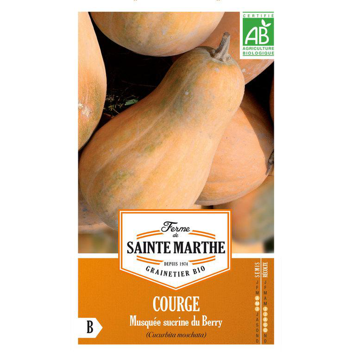 Graines de courge musquée sucrine du Berry bio Ferme de Sainte Marthe ...